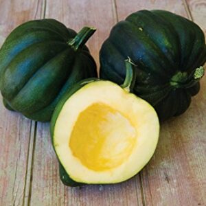 Burpee Early Acorn Hybrid Winter Squash Seeds 25 seeds