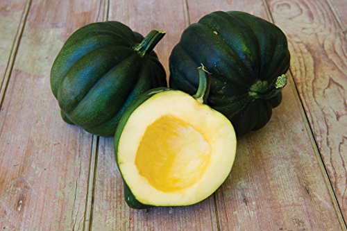 Burpee Early Acorn Hybrid Winter Squash Seeds 25 seeds