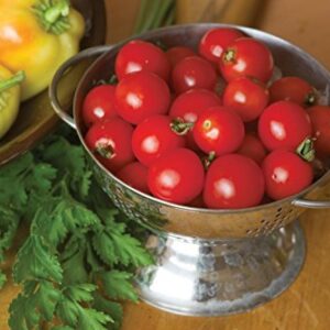 Burpee Super Sweet 100' Hybrid Cherry Tomato, 50 Seeds