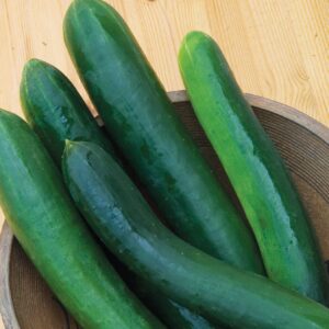 Burpee Sweet Success Slicing Cucumber Seeds 20 seeds