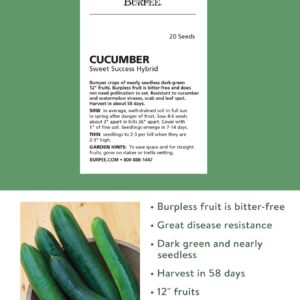 Burpee Sweet Success Slicing Cucumber Seeds 20 seeds