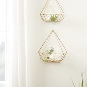 Kate and Laurel Prouve Decorative Geometric Multi-use Metal Wall Display Shelves, Gold, 2 Piece Set