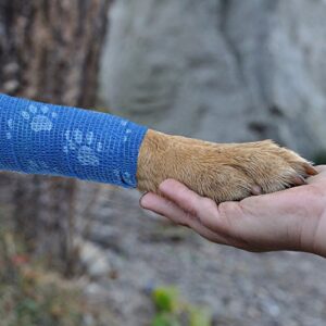 Pet Bandage Cohesive Bandage Self Adhering Stick Bandage, Multi-Function Non-Woven Fabric Elasticity Gauze Rolls Self Adhering Stick Bandage Wrap Vet Tape for Pet Animals (White and Blue)