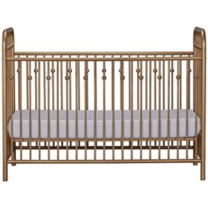 Little Seeds Monarch Hill Ivy Metal Crib, Gold