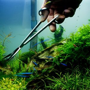 Buytra 3 in 1 Aquarium Plant Tools, Stainless Steel Aquarium Aquascaping Kit Scissor Tweezers for Planted Fish Tank