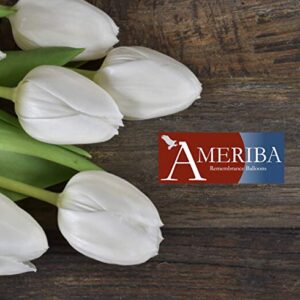 30PC Biodegradable Remembrance Balloons: White & Silver Personalizable Funeral Balloons for Balloon Releases & Sympathy Gifts | Created/Sold by AMERIBA, a USA company (Variety Pk White, Black Writing)