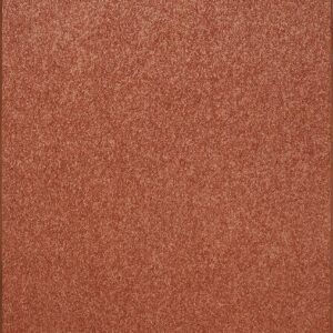 Ambiant Broadway Collection Area Rug, Kids Favorite, 5' x 7', Rust