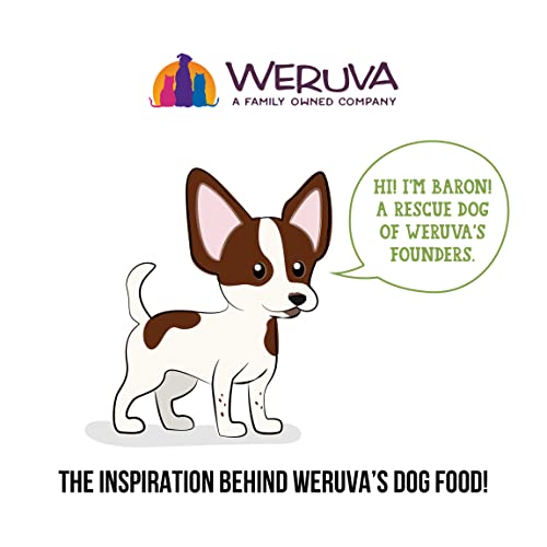 Weruva Dogs in the Kitchen, Variety Pack, Doggie Dinner Dance!, Wet Dog Food, 10oz Cans (Pack of 12)