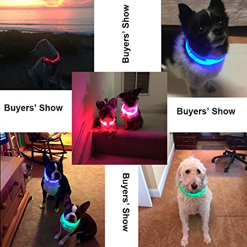 BSEEN Light Up Dog Collars - Glowing LED Dog Collar, TPU Cuttable Lighted Puppy Collar, Rechargeable Dog Walking Light for Small Medium Large Dogs (Green)