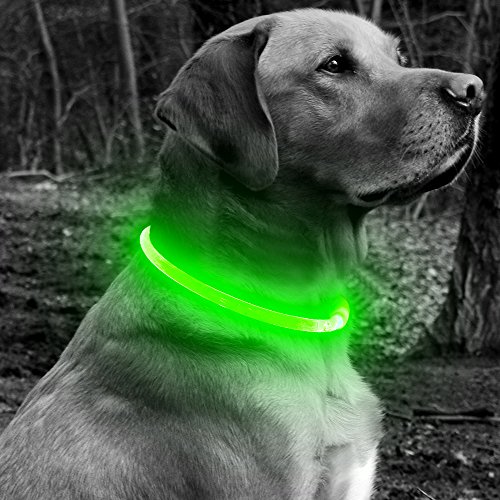 BSEEN Light Up Dog Collars - Glowing LED Dog Collar, TPU Cuttable Lighted Puppy Collar, Rechargeable Dog Walking Light for Small Medium Large Dogs (Green)