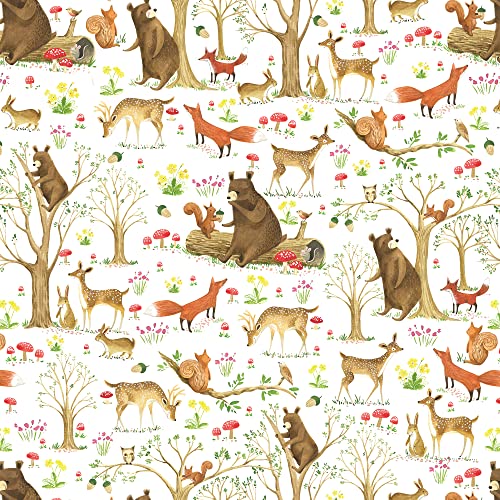 Jillson Roberts 6 Roll-Count Baby Gift Wrap Available in 5 Different Designs, Fairytale Forest