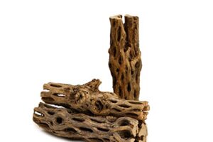 nilocg aquatics 3 pieces 5-6" long natural cholla wood for aquarium decoration