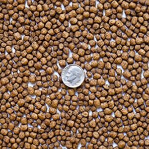 America's Best Koi Food 20 lbs Koi Fish Food with 35% Premium Protein Medium Sized Floating Pond Pellets for Koi Goldfish and Pond Fish