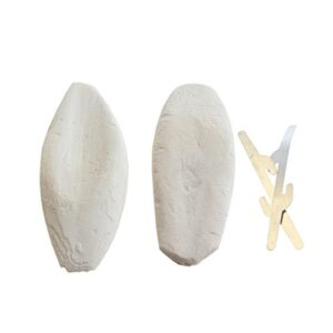 emours natural cuttlefish bone for reptiles, tortoises, tortoise, snails, birds and small animals, 4-5 inch, twin pack