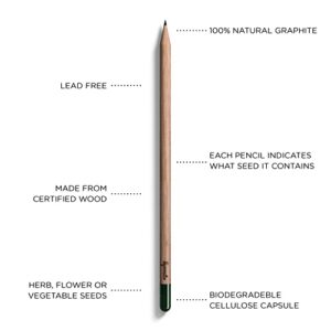 Sprout Pencils | Original Edition | Graphite Plantable Pencils with Flower, Herb & Vegetable Seeds | Certified & Organic Wood | Prime Sustainable Gift Ideal for Drawing, Sketching & Shading | 8 Pack