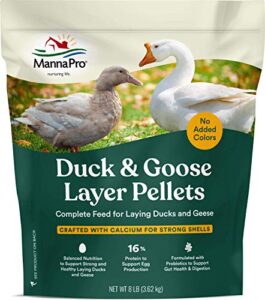 manna pro duck layer pellet | high protein for increased egg production | formulated with probiotics to support healthy digestion | 8 pounds