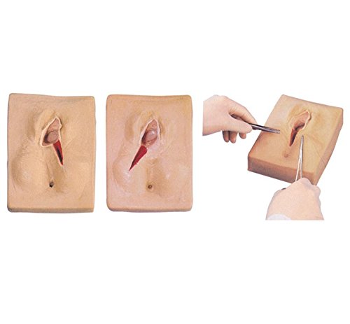 Vulva lateral Perineal Laceration/Episiotomy Suture Simulator Suturing Training Model(Right, Left or Median posterior Incision can be Selected)