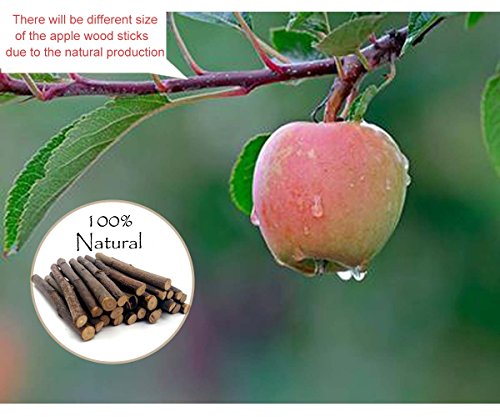 500g Organic Apple Sticks for Rabbits Wood Tree Branches Pet Snacks Chew Toys Branch for Guinea Pigs Chinchilla Squirrel Bunny Hamster Small Animals Teeth Grinding