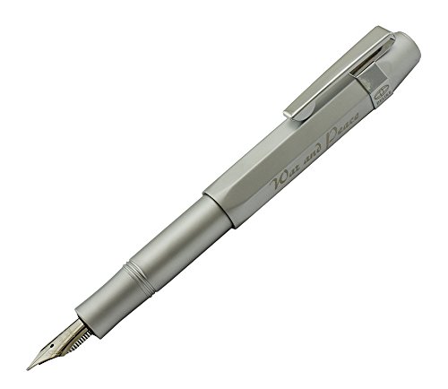 Lanxivi Brass Fountain Pen Matte Silver,Chrome Finish,Medium Fine Point, Pocket Pen,Bullet Shape, Metal Gift Box