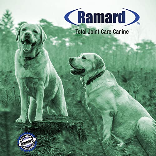 Ramard Total Joint Supplement for Dogs-MSM Glucosamine Chondroitin for Dogs & Hyaluronic Acid, Vitamins and Supplements for Small & Large Dog Breeds (45 Chews Jar, 1-Pack)