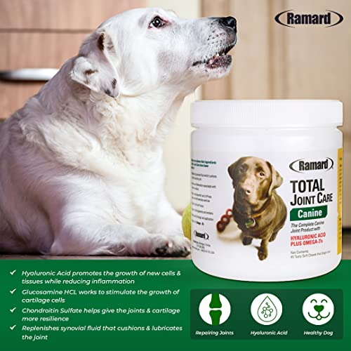 Ramard Total Joint Supplement for Dogs-MSM Glucosamine Chondroitin for Dogs & Hyaluronic Acid, Vitamins and Supplements for Small & Large Dog Breeds (45 Chews Jar, 1-Pack)