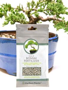 bonsai fertilizer pellets by perfect plants - 5 year supply - all natural slow release - extended enrichment for all live bonsai tree types