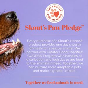 SKOUT'S HONOR: Probiotic Pet Shampoo & Conditioner - 2-in-1 with Avocado Oil - Cleans and Conditions Fur, Supports Pet’s Natural Defenses, PH-Balanced, Sulfate-Free - Honeysuckle - 16 oz.