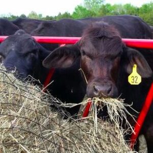 Texas Haynet Livestock Round Bale Hay Net