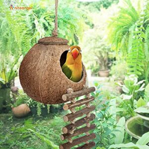 Niteangel Natural Coconut Hideaway with Ladder, Bird and Small Animal Toy (House with Ladder, Natural Surface)