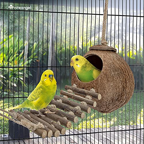 Niteangel Natural Coconut Hideaway with Ladder, Bird and Small Animal Toy (House with Ladder, Natural Surface)