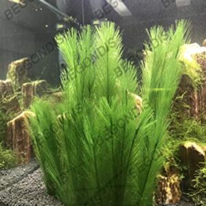 BEGONDIS Aquarium Decorations 3Pcs Fish Tank Artificial Green Water Plants Made of Silk Fabrics Plastic