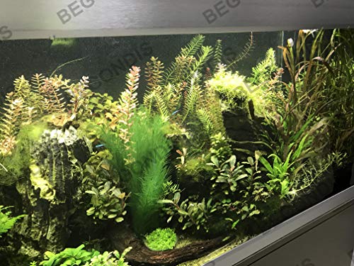 BEGONDIS Aquarium Decorations 3Pcs Fish Tank Artificial Green Water Plants Made of Silk Fabrics Plastic