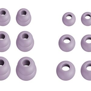 12pcs (DF-3sz) Light Purple Gray S/M/L Double Flange and Round Replacement Adapters Eartips Earbuds Compatible with BeatsX, Powerbeats 3 2 1, and Urbeats 3 Earphones Headphones