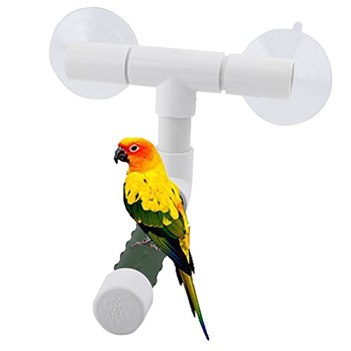 Bird Shower Stand, Portable Bird Perches for Shower, Foldable Suction Cup Window Shower Bath Wall Paw Grinding Stand Toy, Nonslip Bath Perch Toys for Parrot Budgie Cockatoo Other Similar Size Birds