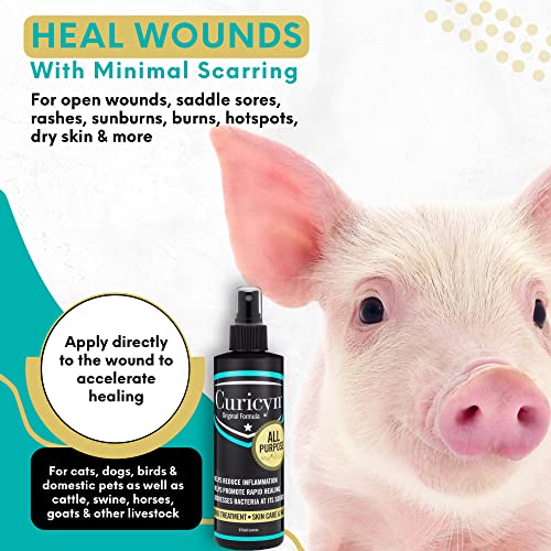 Curicyn, Wound Treatment Spray for All Animals - Original Formula, Helps Reduce Inflammation, Easy and Effective Pet Wound Care, Dog and Cat Skin Care Infection Treatment, - 8 oz Spray Bottle