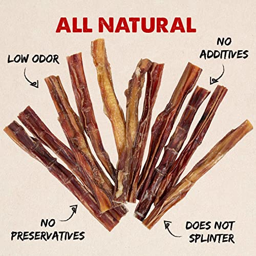 Downtown Pet Supply USA Sourced 6", 10 Pack Bully Sticks for Large Dogs, Regular - Rawhide Free Dog Chews Long Lasting and Non-Splintering - Single Ingredient, Low Odor Bully Sticks for Medium Dogs