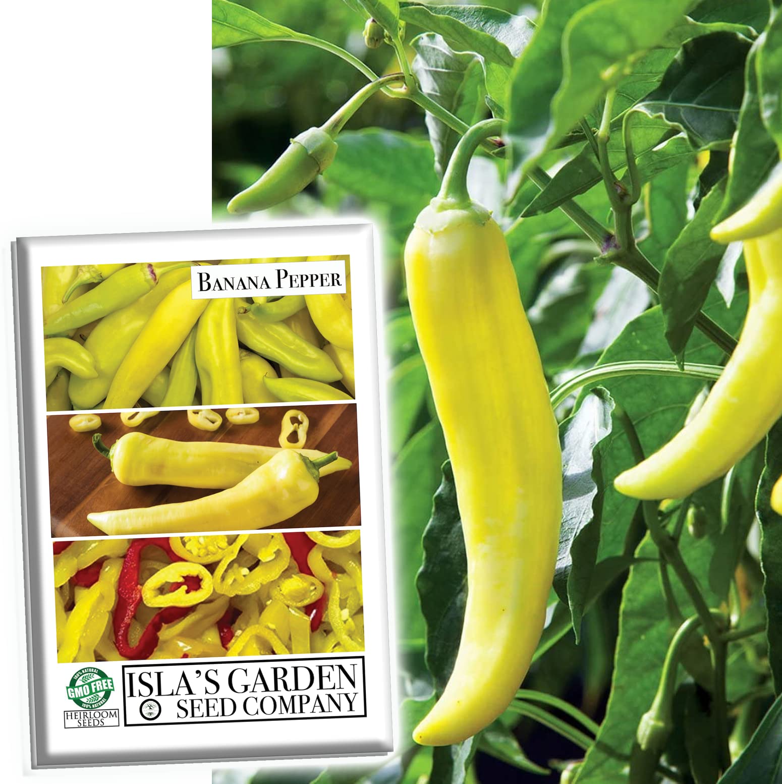 Banana Pepper Seeds for Planting, 100+ Heirloom Seeds Per Packet, (Isla's Garden Seeds), Non GMO Seeds, Other Name: Yellow Wax Pepper/Banana Chilies, Scientific Name: Capsicum annuum