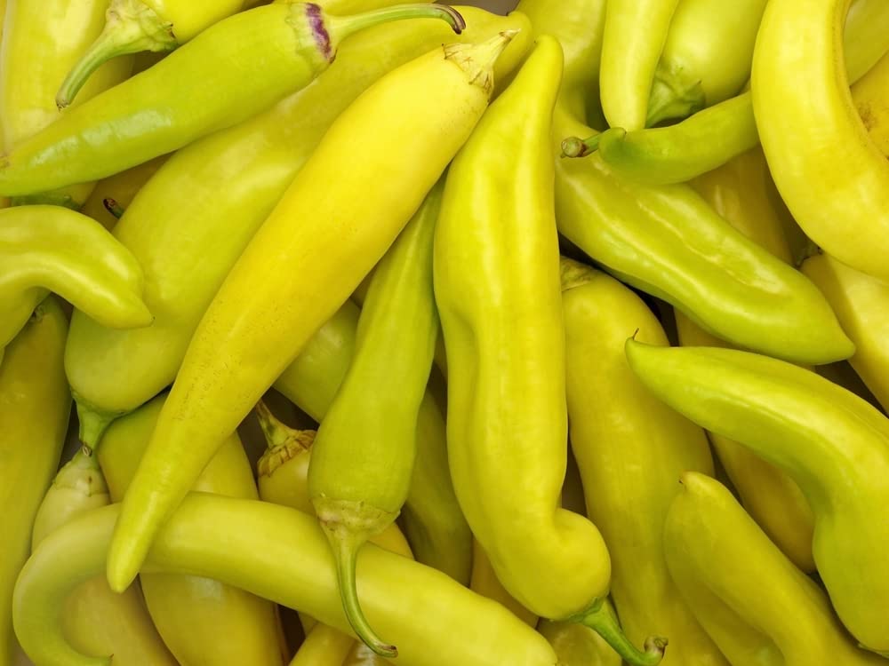 Banana Pepper Seeds for Planting, 100+ Heirloom Seeds Per Packet, (Isla's Garden Seeds), Non GMO Seeds, Other Name: Yellow Wax Pepper/Banana Chilies, Scientific Name: Capsicum annuum