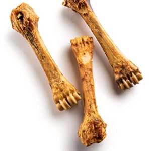 Jack&Pup 11" Shin Bones for Large Dogs | Roasted, Savory, Large Dog Bones for Aggressive Chewers (3 Bones)