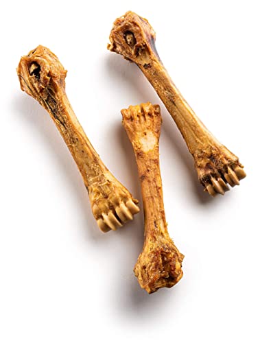 Jack&Pup 11" Shin Bones for Large Dogs | Roasted, Savory, Large Dog Bones for Aggressive Chewers (3 Bones)