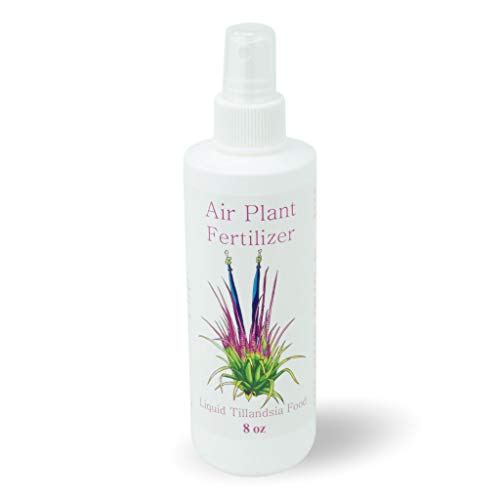 Tillandsia Air Plant Food | Fertilizer Kit with Spray Bottle and Mister | Encourages Air Plants to Bloom with Formulated Nutrients by Aquatic Arts