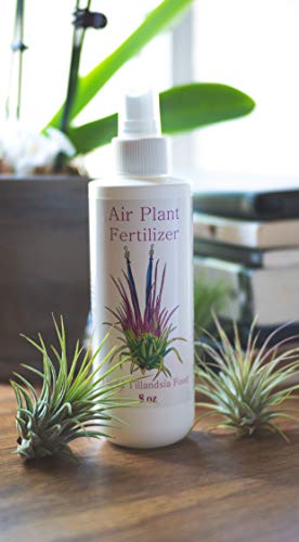 Tillandsia Air Plant Food | Fertilizer Kit with Spray Bottle and Mister | Encourages Air Plants to Bloom with Formulated Nutrients by Aquatic Arts