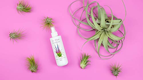 Tillandsia Air Plant Food | Fertilizer Kit with Spray Bottle and Mister | Encourages Air Plants to Bloom with Formulated Nutrients by Aquatic Arts