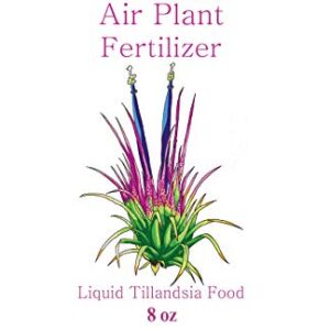 Tillandsia Air Plant Food | Fertilizer Kit with Spray Bottle and Mister | Encourages Air Plants to Bloom with Formulated Nutrients by Aquatic Arts