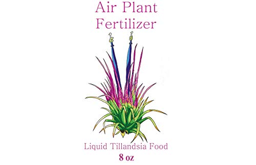 Tillandsia Air Plant Food | Fertilizer Kit with Spray Bottle and Mister | Encourages Air Plants to Bloom with Formulated Nutrients by Aquatic Arts