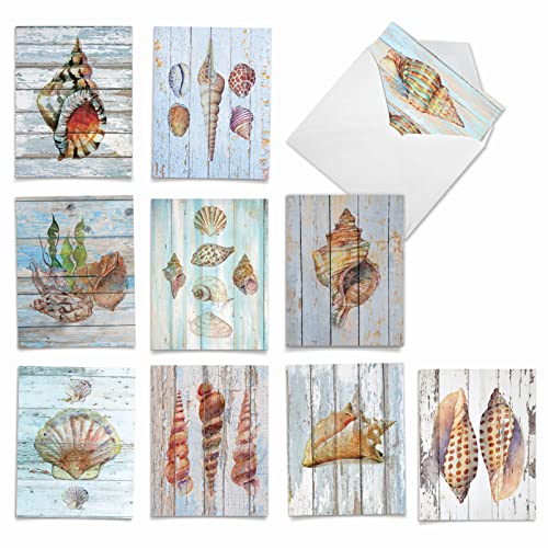 The Best Card Company - 10 Blank Note Cards with Envelopes (4 x 5.12 Inch) - Bulk All Occasion Cards Boxed - Seashell Driftwood AM6118OCB-B1x10