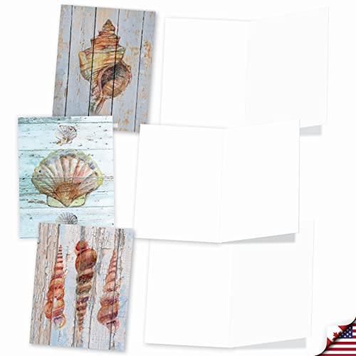 The Best Card Company - 10 Blank Note Cards with Envelopes (4 x 5.12 Inch) - Bulk All Occasion Cards Boxed - Seashell Driftwood AM6118OCB-B1x10