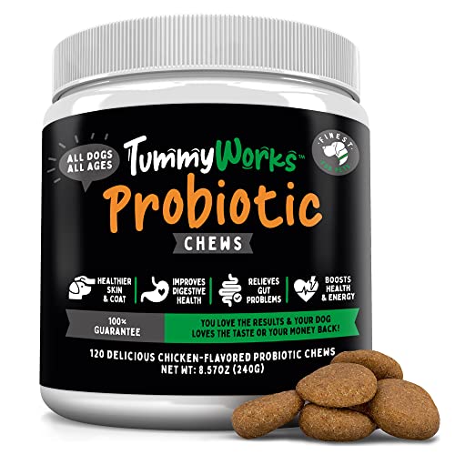 TummyWorks Probiotic Soft Chews for Dogs. Probiotics for Gut Flora, Digestive Health, Immune Support, Diarrhea, Itching & Seasonal Allergies. with Digestive Enzymes & Prebiotics. Made in USA 120ct