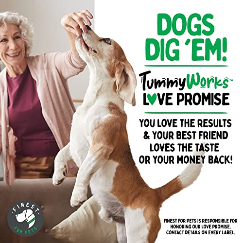 TummyWorks Probiotic Soft Chews for Dogs. Probiotics for Gut Flora, Digestive Health, Immune Support, Diarrhea, Itching & Seasonal Allergies. with Digestive Enzymes & Prebiotics. Made in USA 120ct