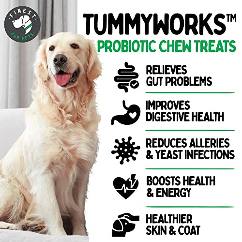 TummyWorks Probiotic Soft Chews for Dogs. Probiotics for Gut Flora, Digestive Health, Immune Support, Diarrhea, Itching & Seasonal Allergies. with Digestive Enzymes & Prebiotics. Made in USA 120ct